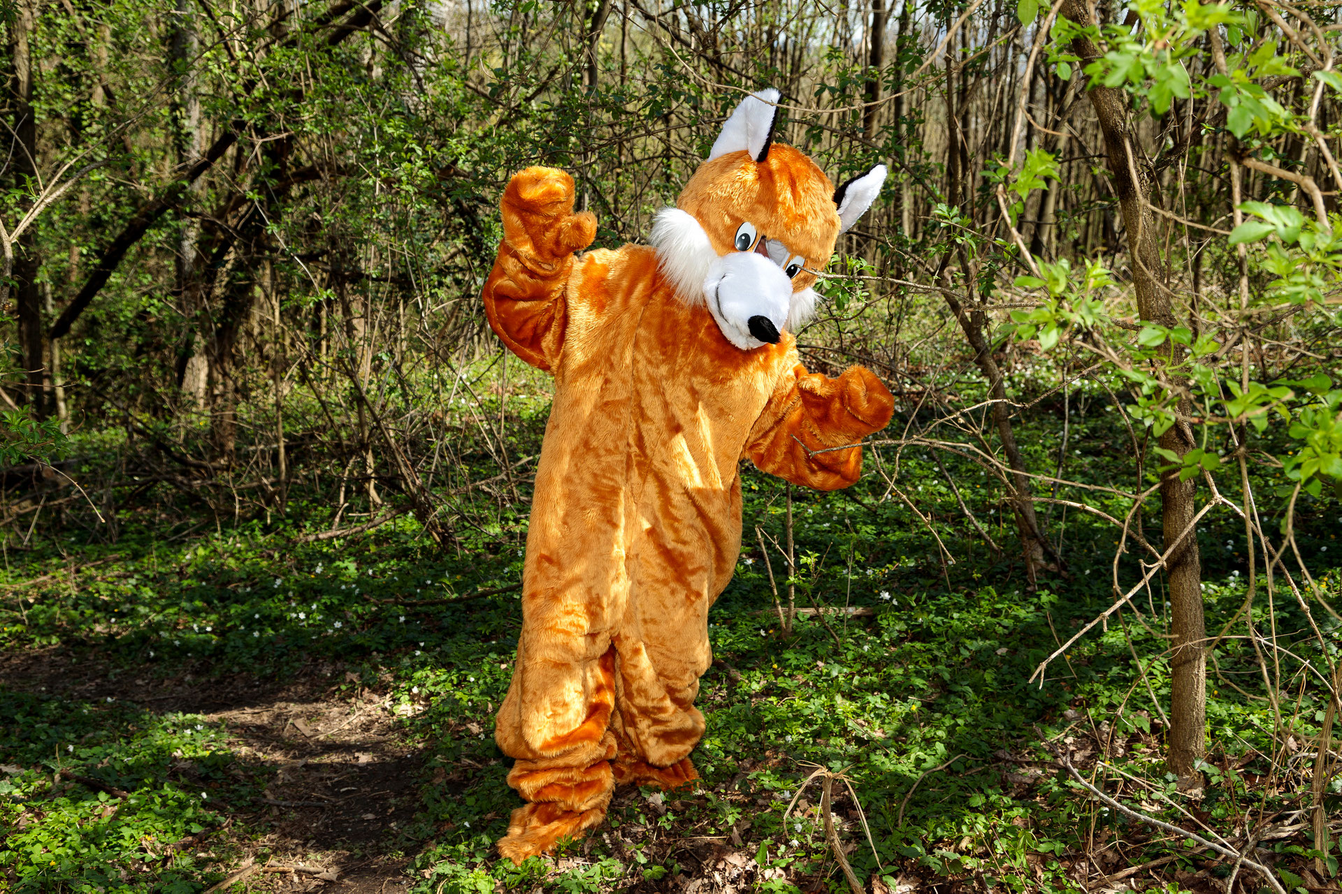 Begleit-tier - Sabine Köglberger