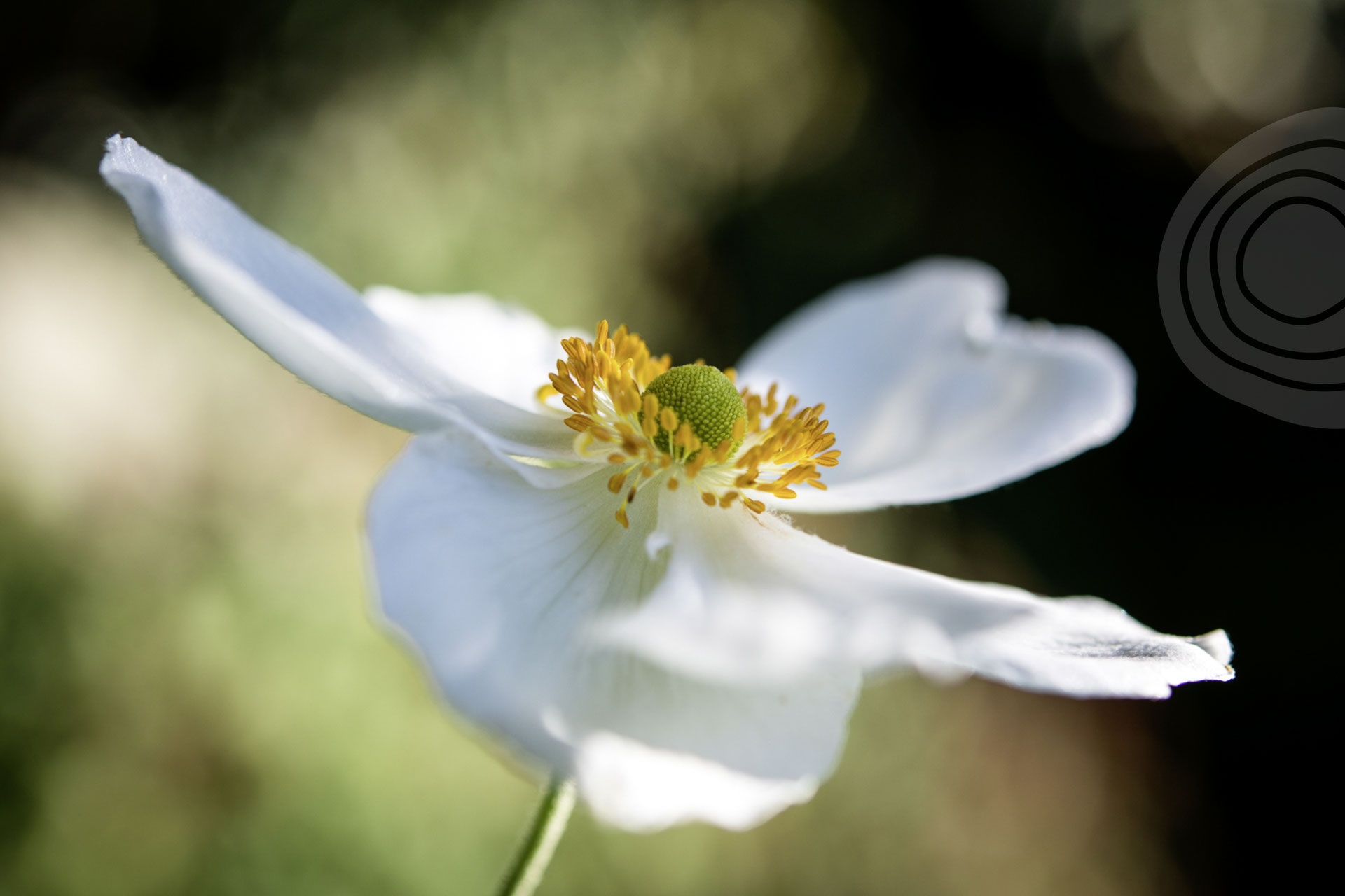 Die Praxis und das Team - viduna - praxis für komplementärmedizin ...