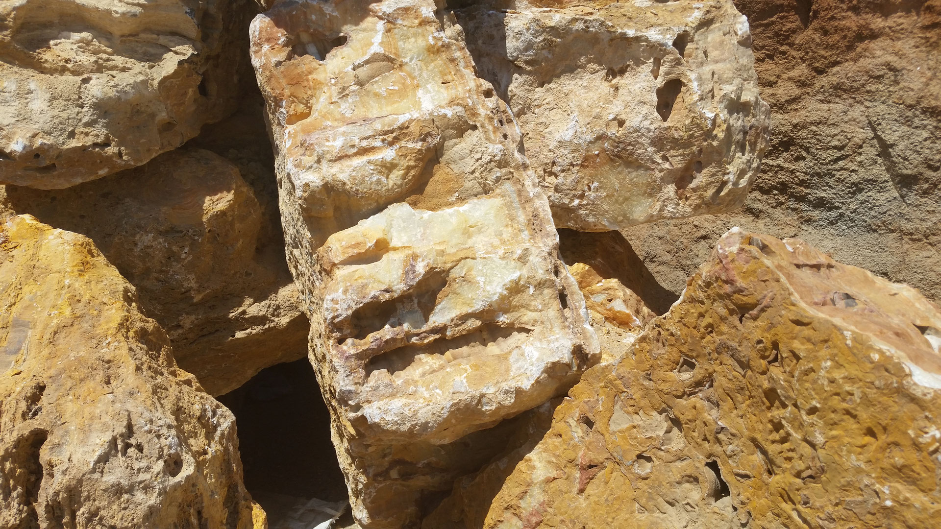 Piedra decorativa de mar huarachestonejrfg - Página web de ...