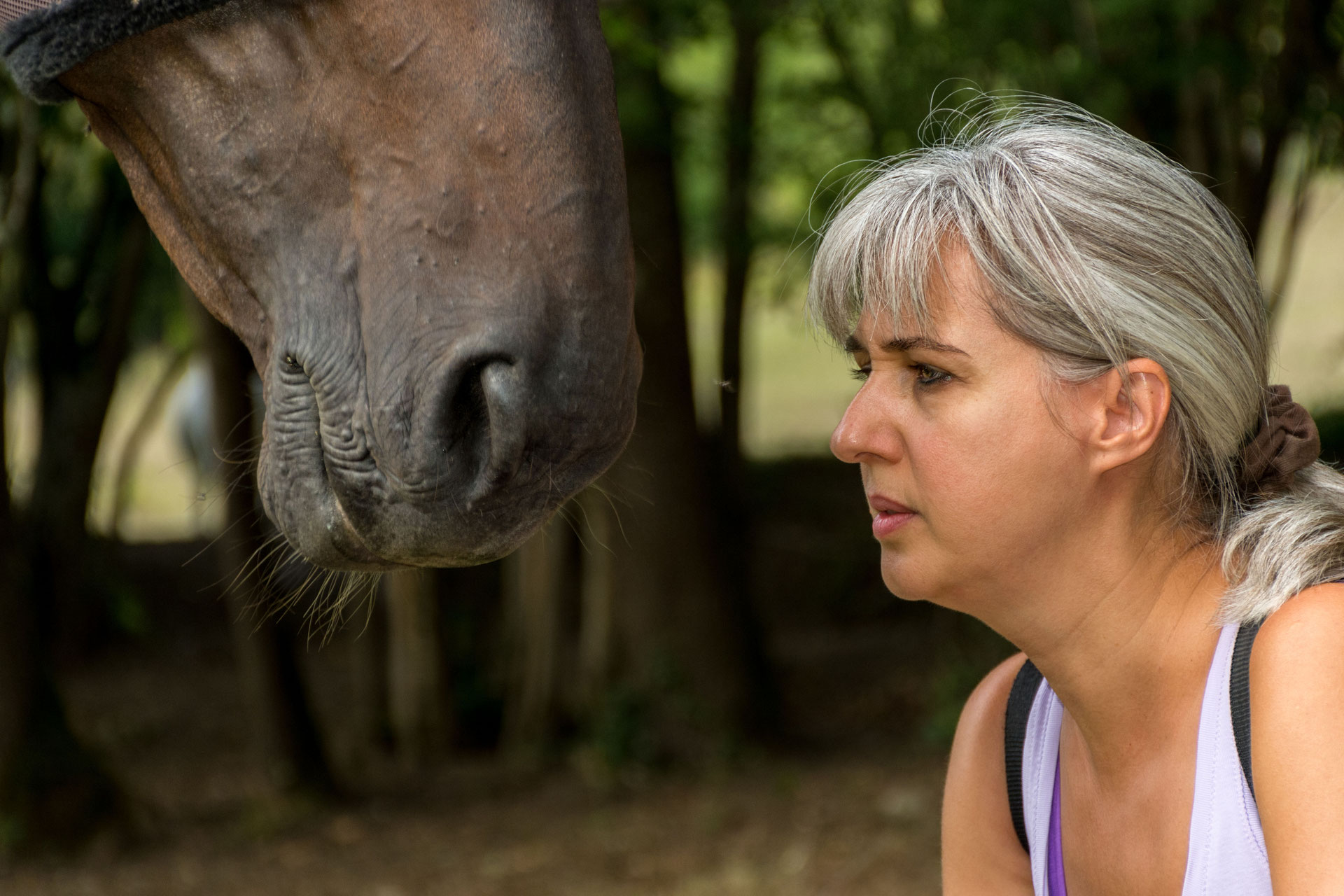 SOINS à l'animal - Nature et Sens Agen