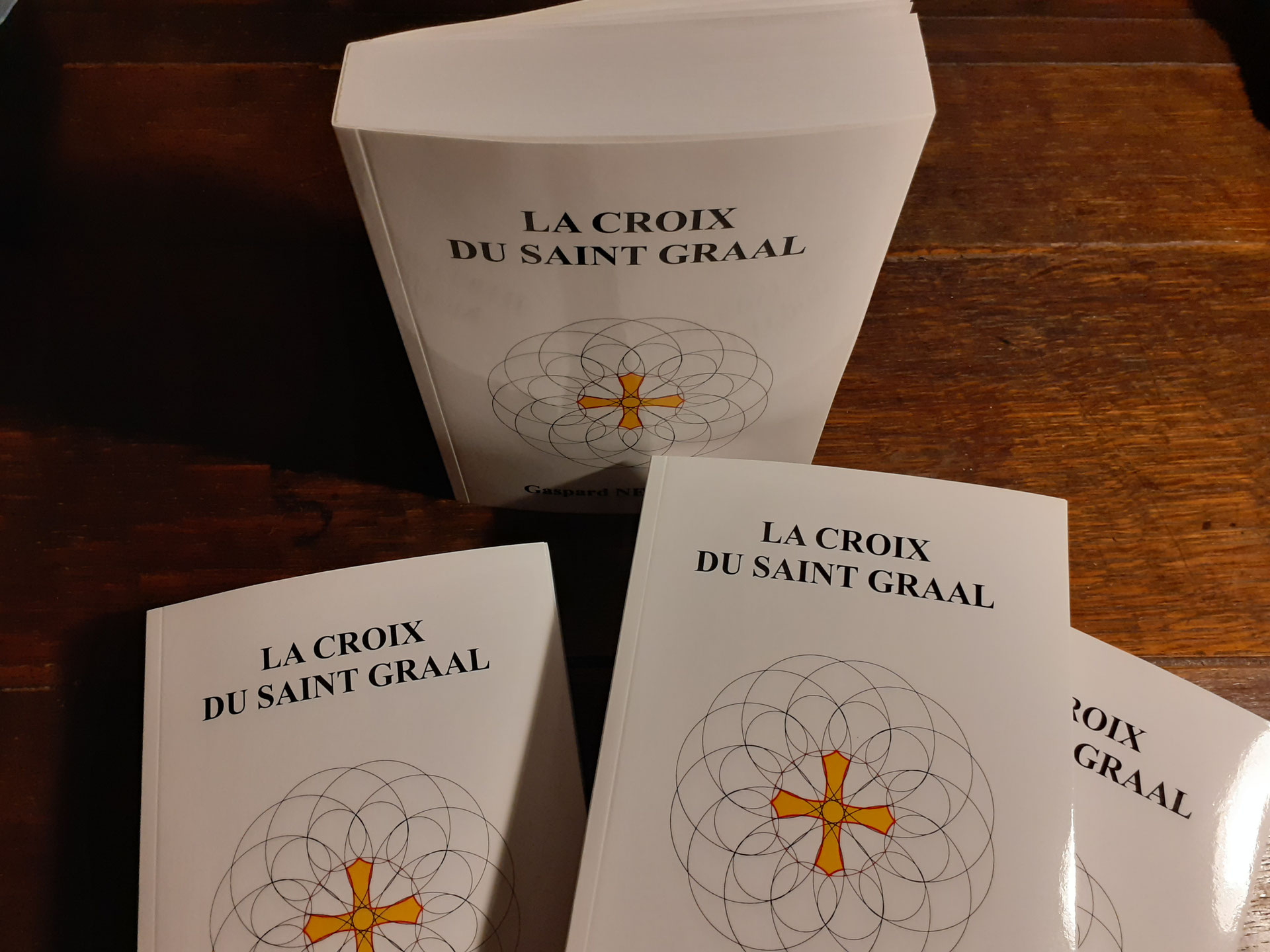 LE LIVRE "LA CROIX DU SAINT GRAAL" - Site de laveriteenimages