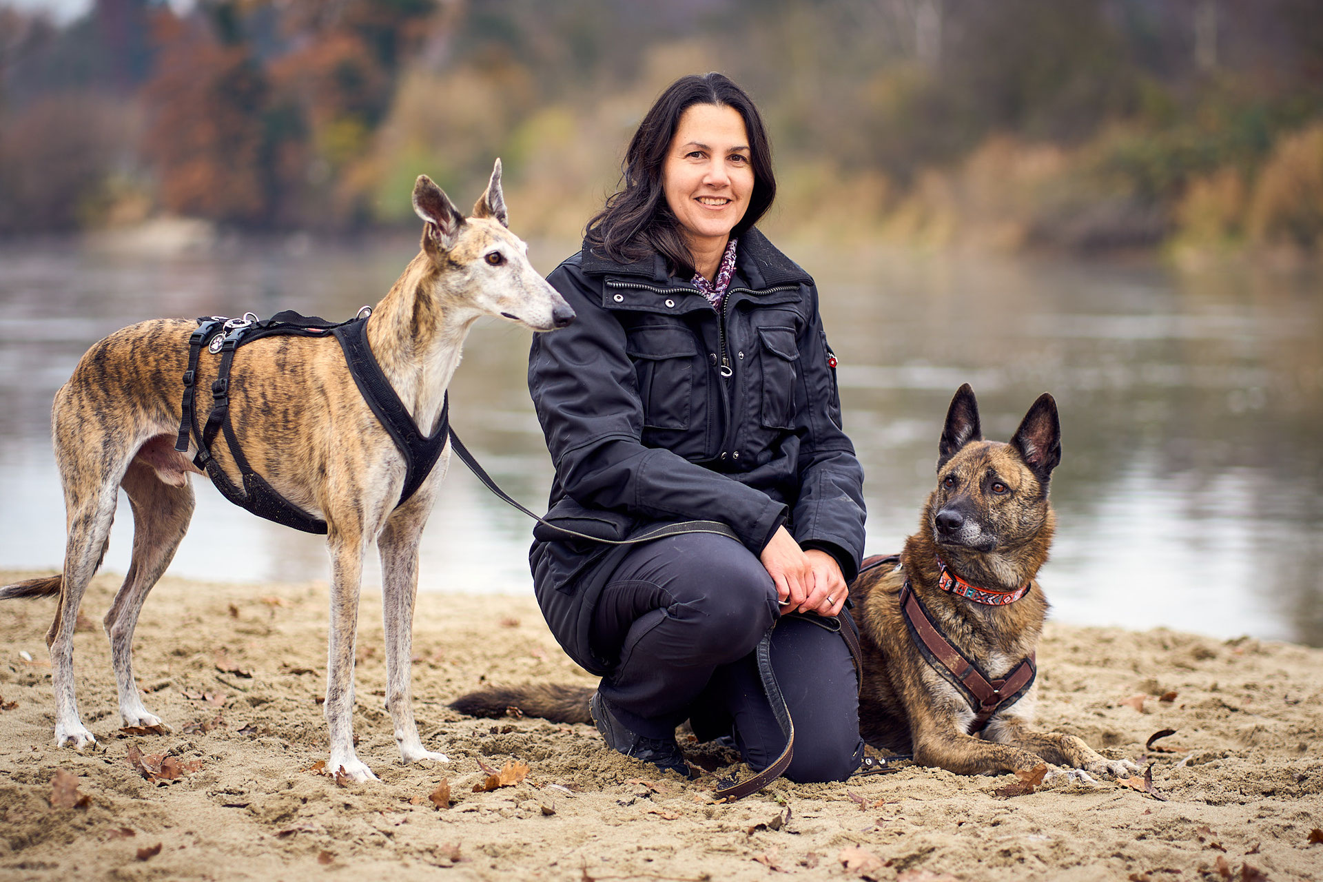 Mensch-Hund-Bindung stärken & Tiergesundheit - Lucky Soul