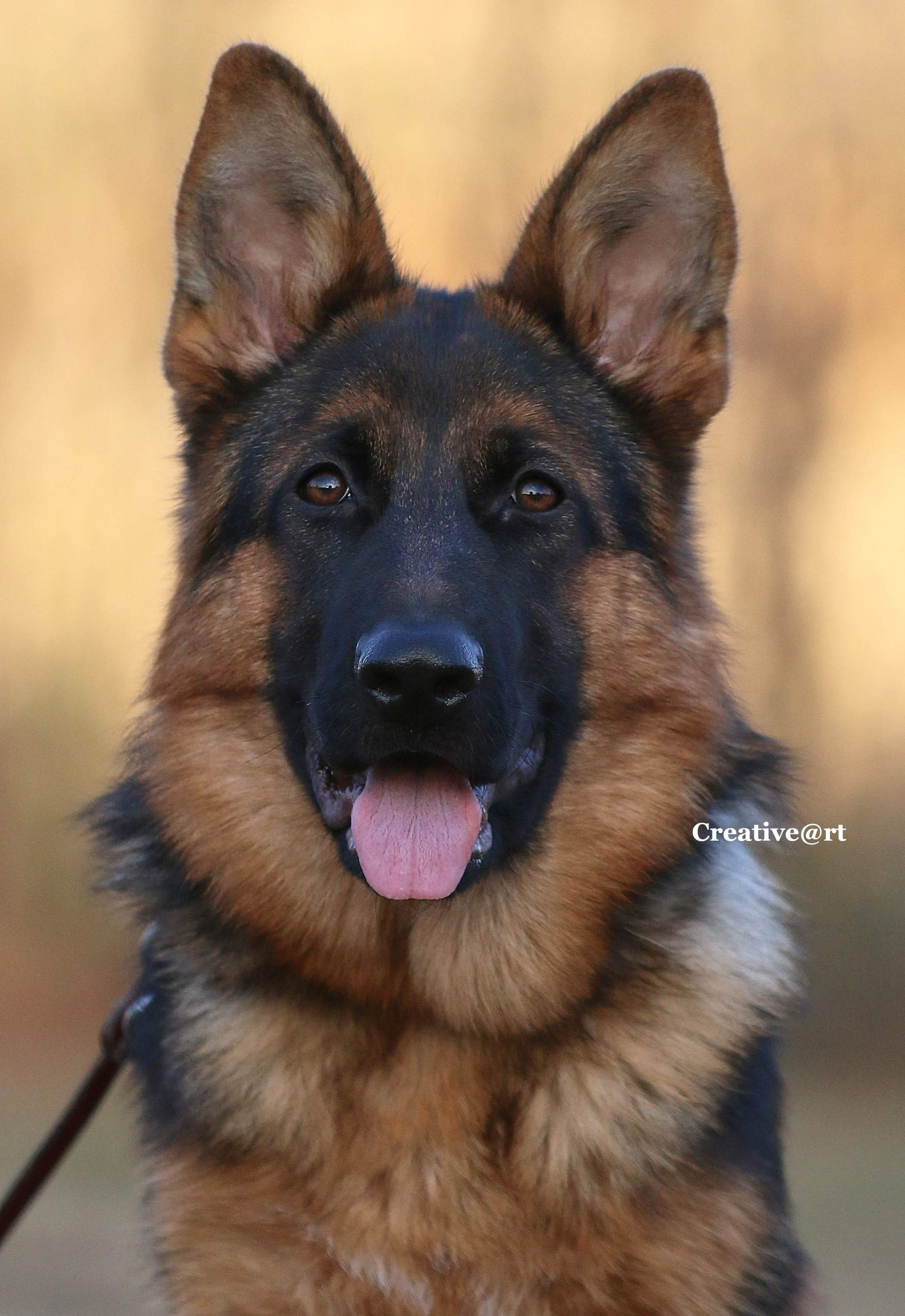 April vom Haus Nesgen - vom-haus-nesgens Webseite!