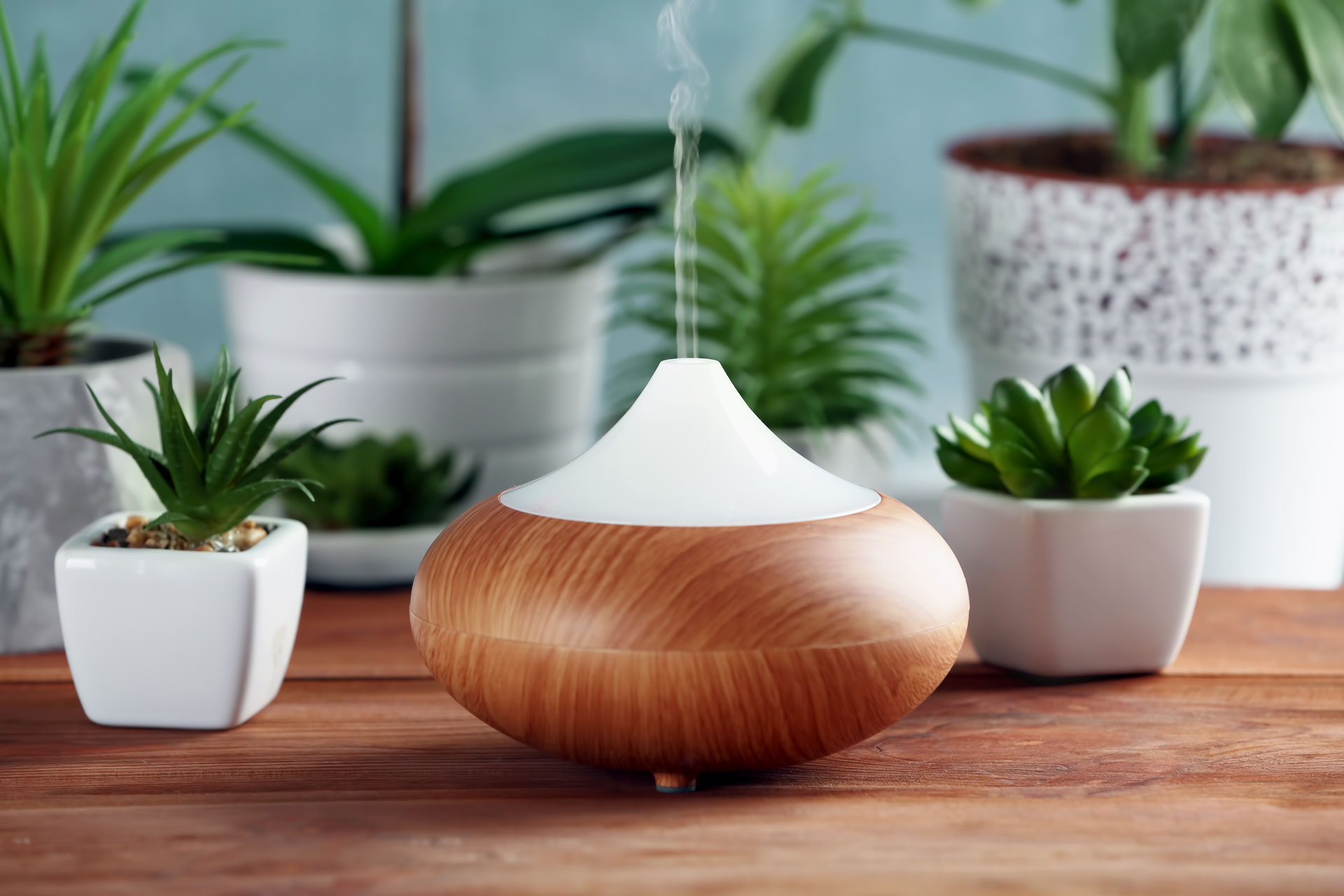Was ist eine Aromapflege? Warum? Wozu? - Humanergetiker Ausbildung