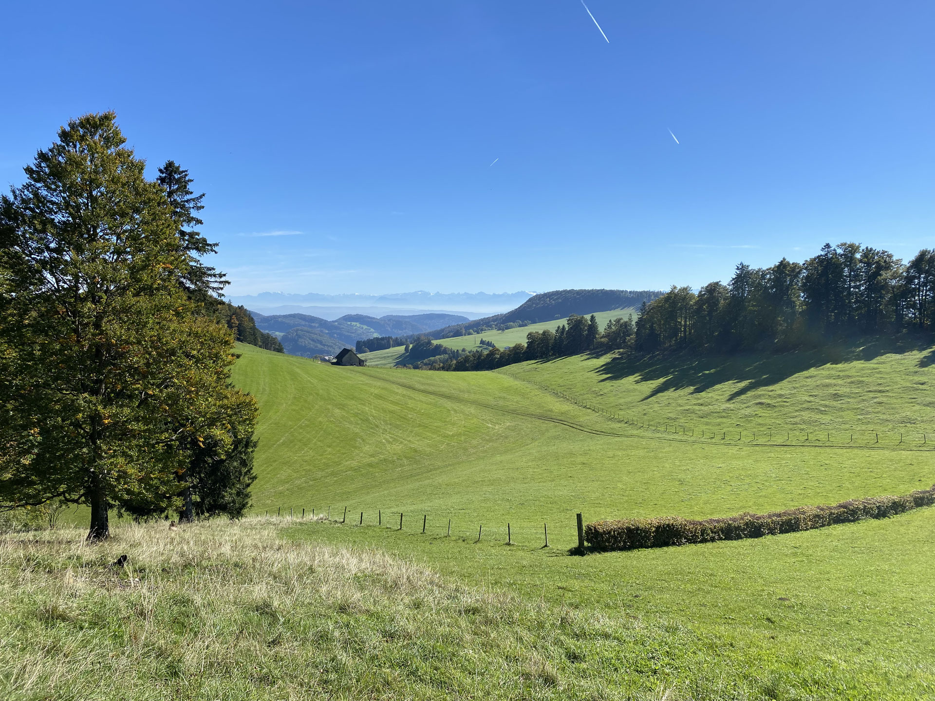Beliebtes Ausflugsziel: Region Wasserfallen in Baselland - Reisen ist Leben