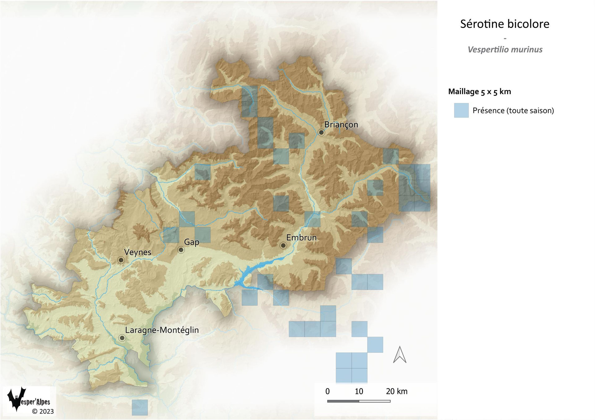 Sérotine bicolore - Bienvenue sur le site de Vesperalpes