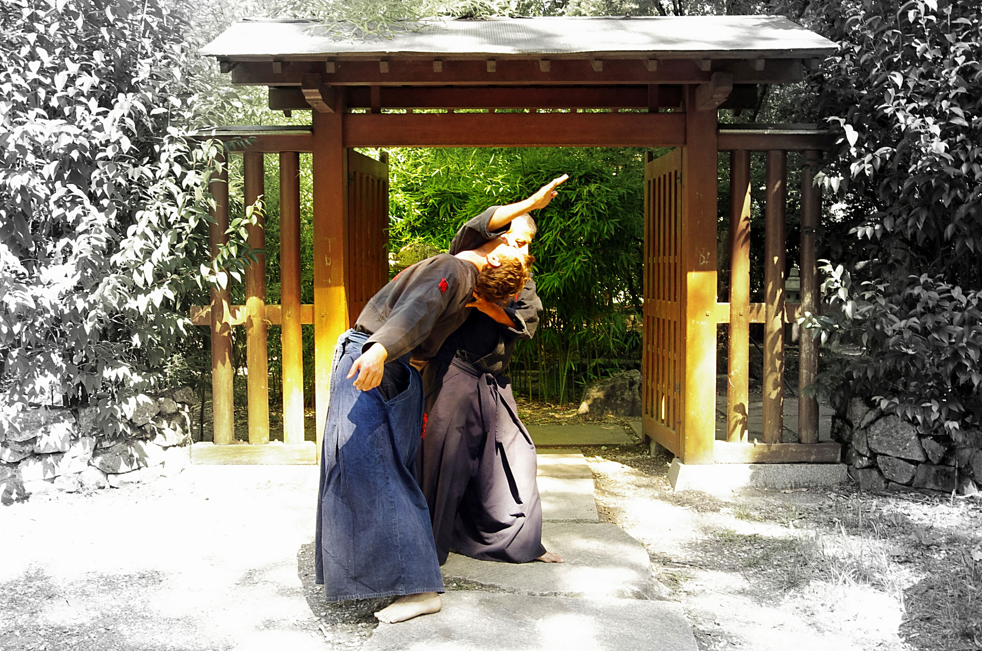 Mushin ryu ju jutsu - Site de dojo-eysines