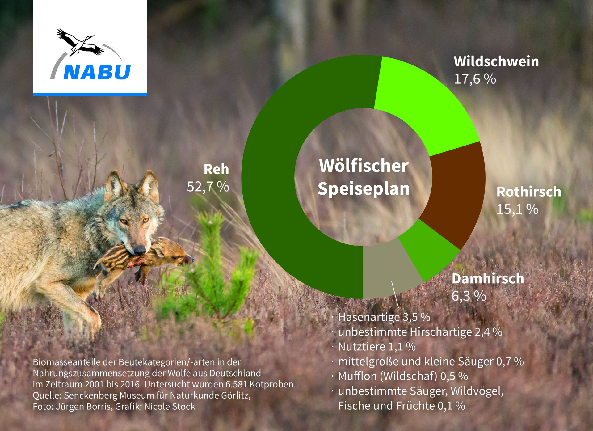 Was fressen Wölfe? - nabu-kg-helmstedts Jimdo-Page!