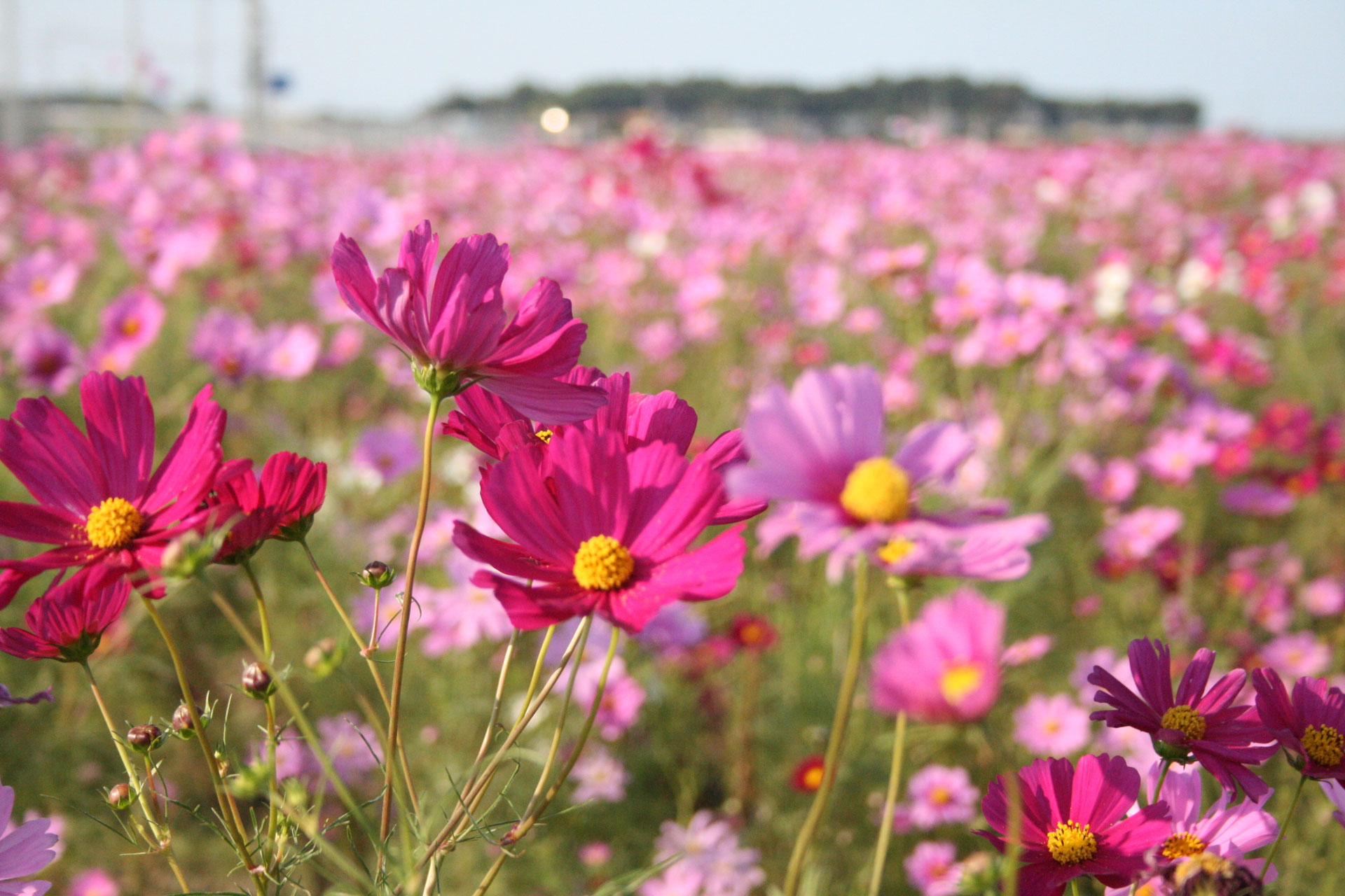 ホーム - 煌めく世界2