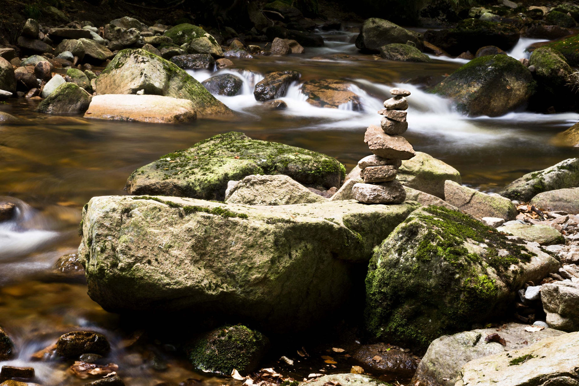 2021 - Carla M. Huber