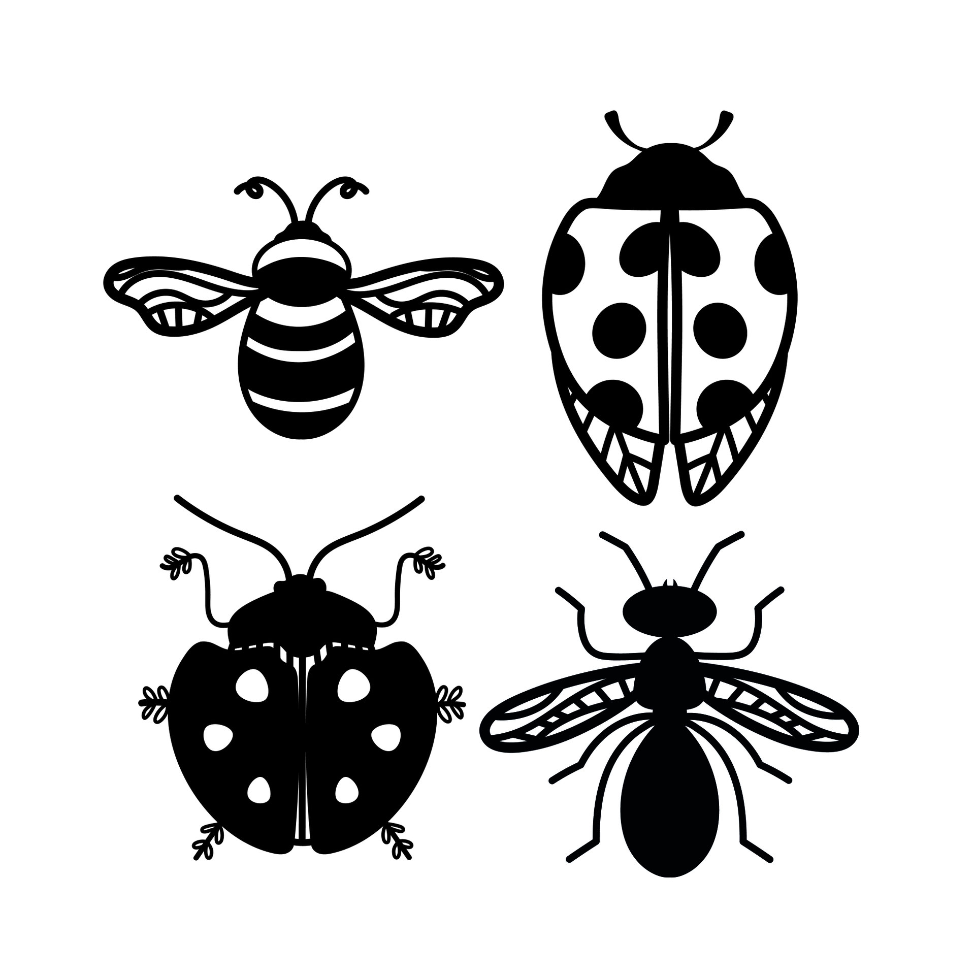 insectes - Site de lucy-rueda-illustration