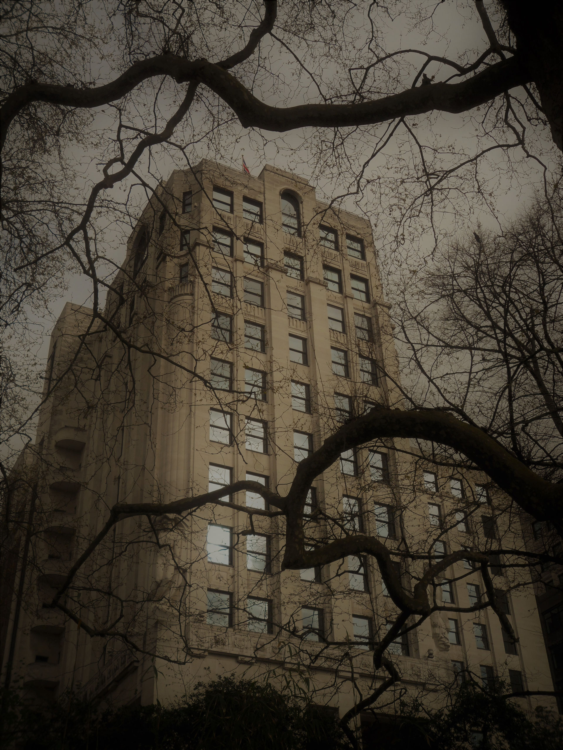 The Adelphi Project - Carrion Cry Eifion Evans