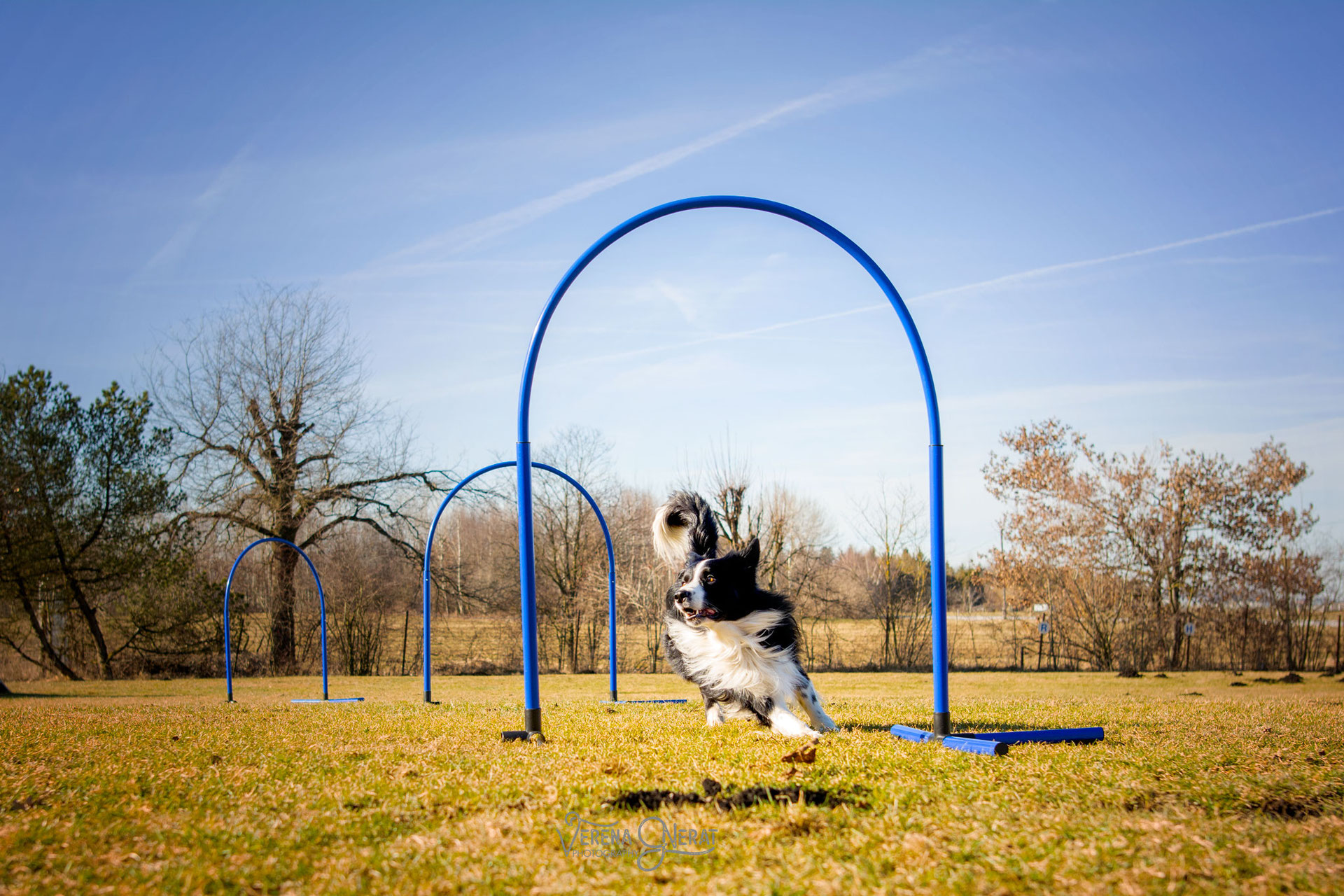 Hoopers - ÖGV Salzburg