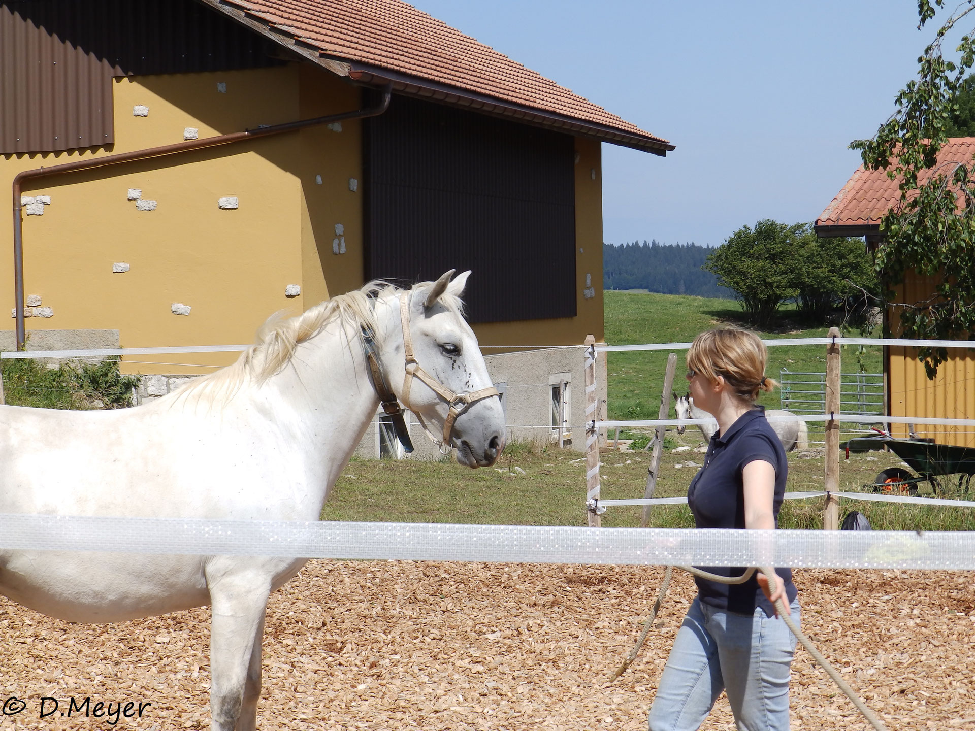 BODENARBEIT - harmony-with-horsess Webseite!