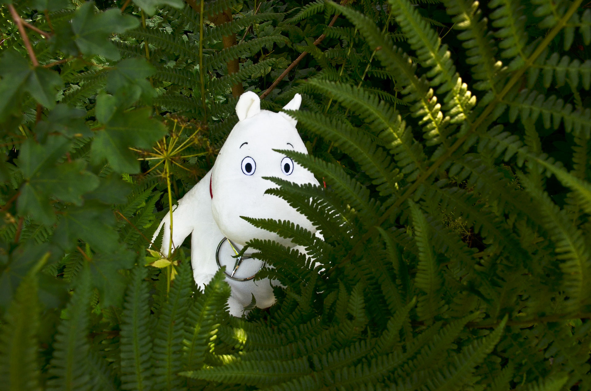 Mumin: Spiegelung und Entwicklung - engelmannsnotizens Webseite!