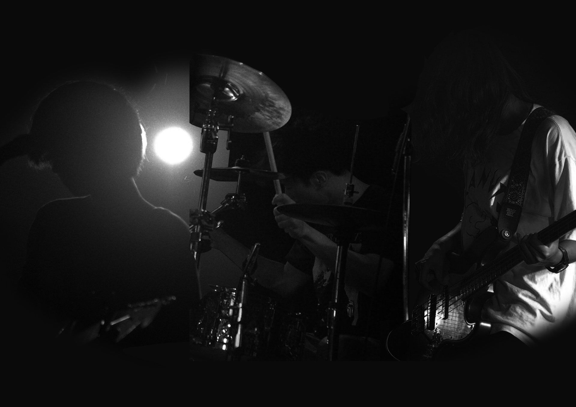 BIOGRPHY - fuzzy apple store