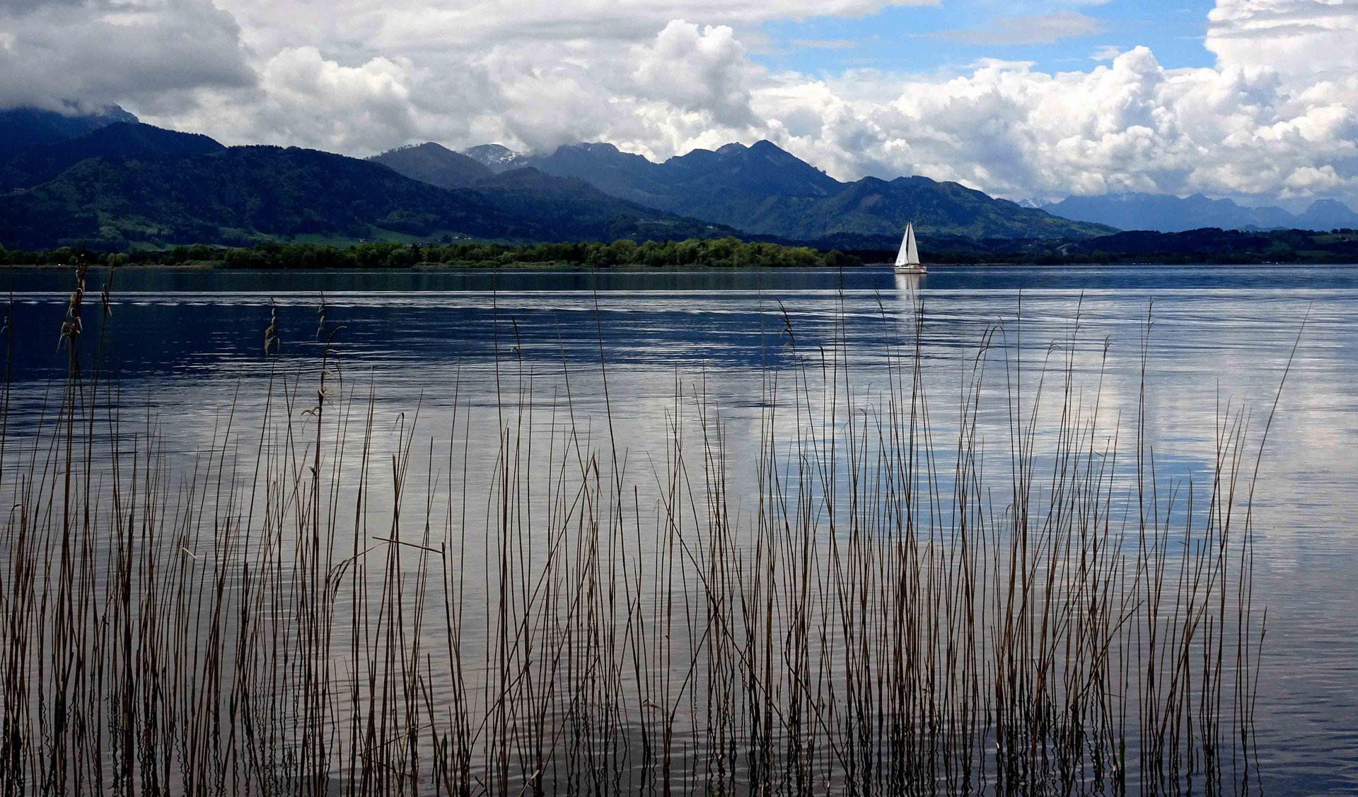 Sichtbarkeit ist wichtig - yes-we-cares Webseite!