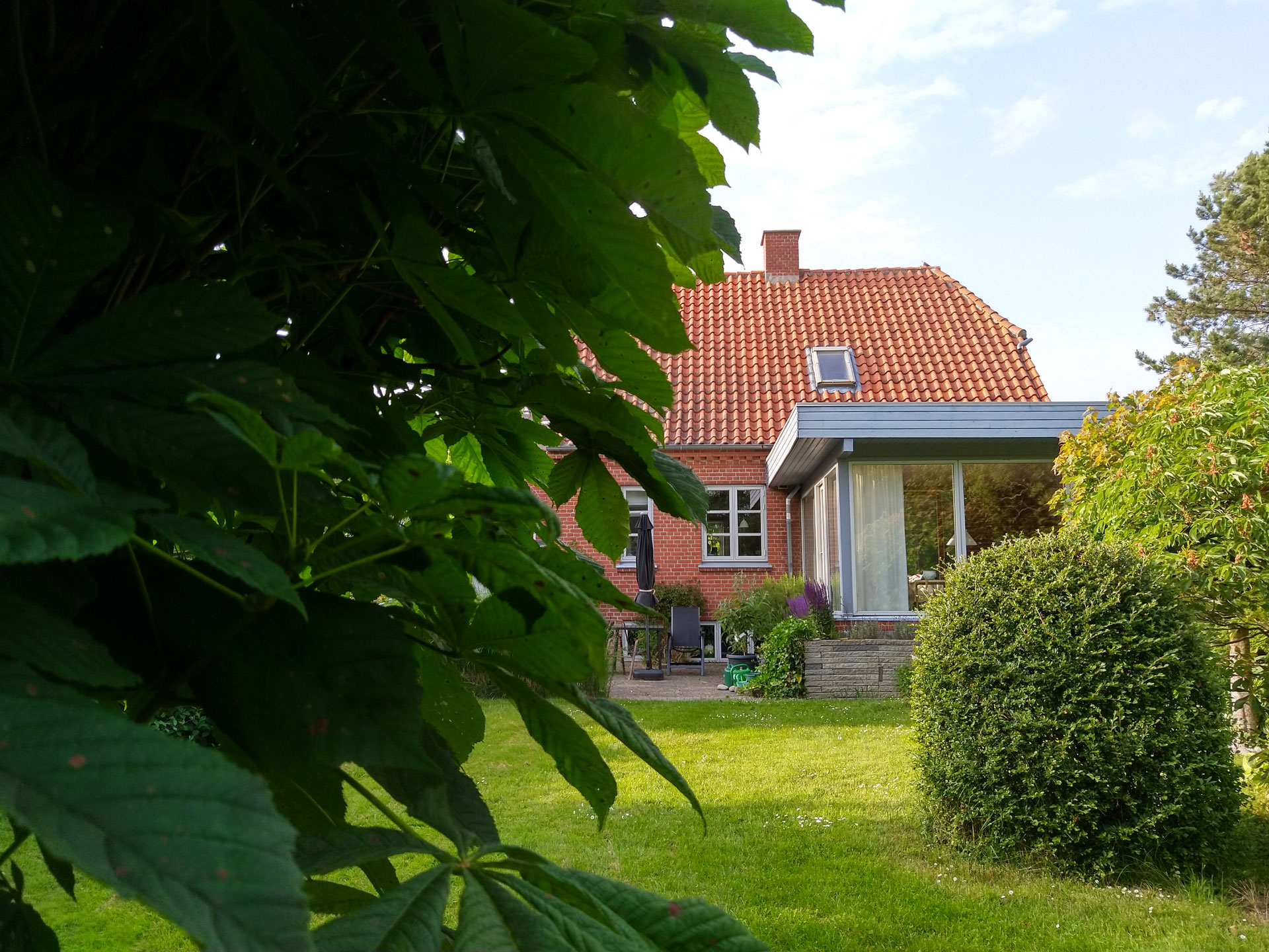 Sommer: Juni - haveoase.jimdofree.com