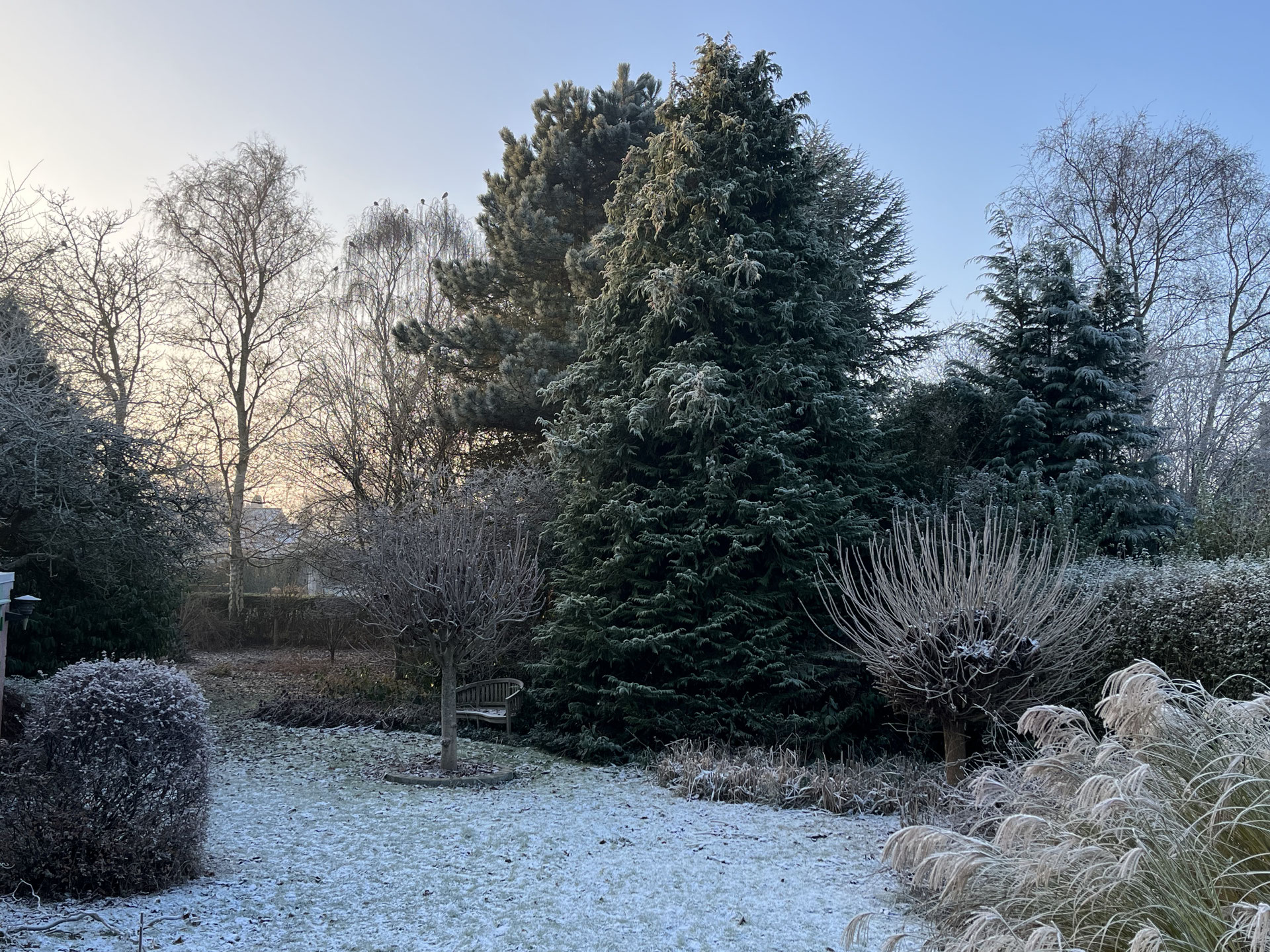 Vinter: December - haveoase.jimdofree.com