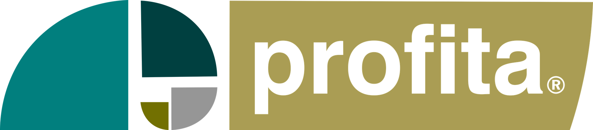 Rentabilidad en la ejecución - PROFITA