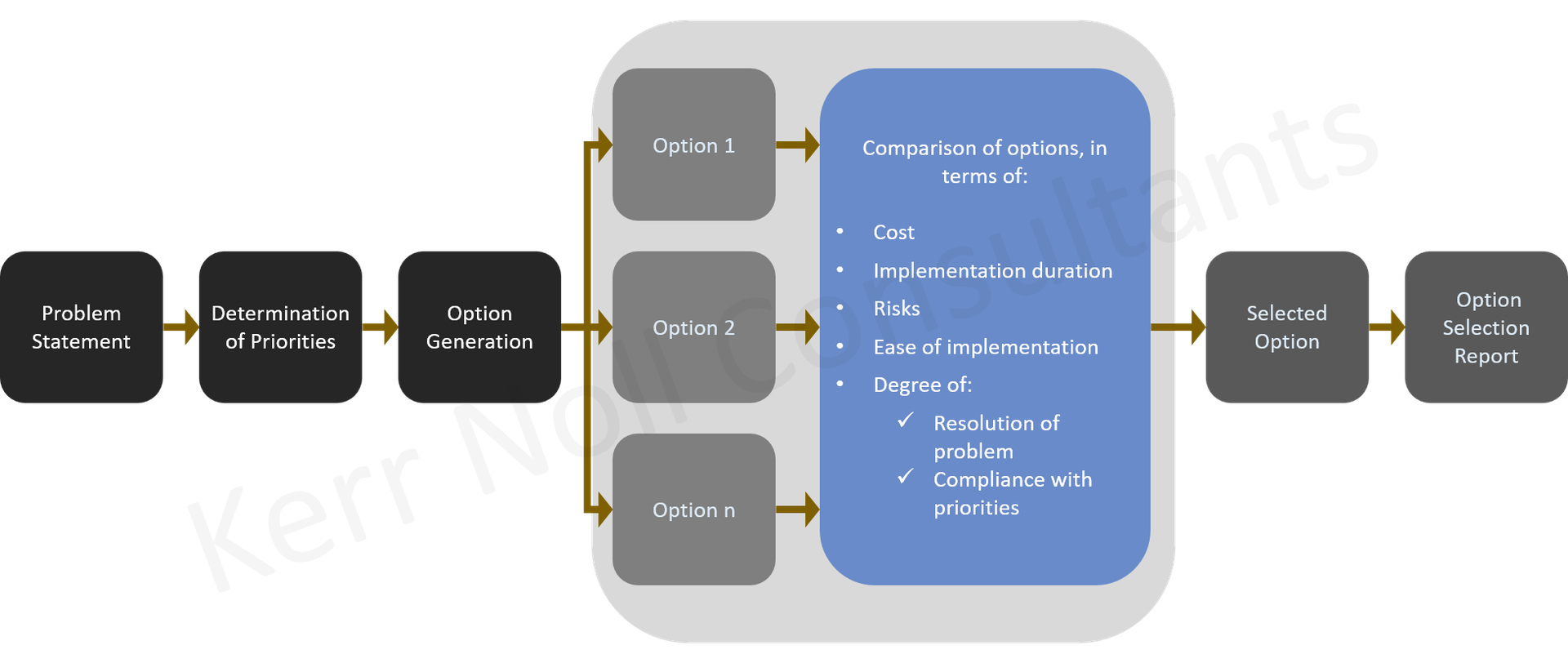 Option Selection Facilitation - Kerr Noll Consultants
