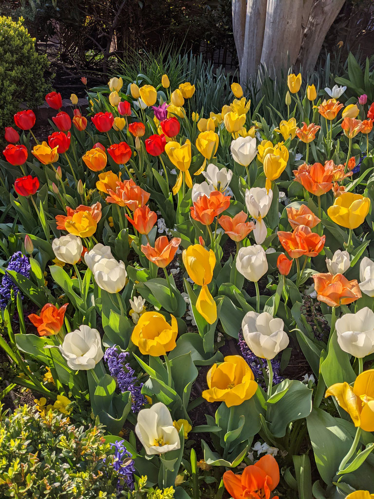 Services - Gail Post, Ph.D.