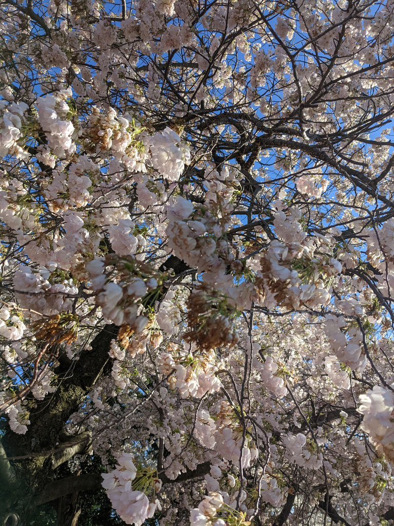 Psychotherapy - Gail Post, Ph.D.