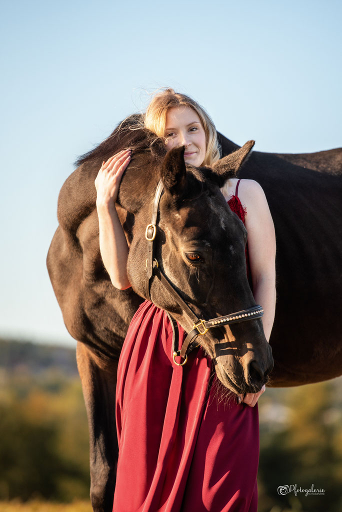 Pferdefotoshooting - Tierfotografie mit Herz und Verstand