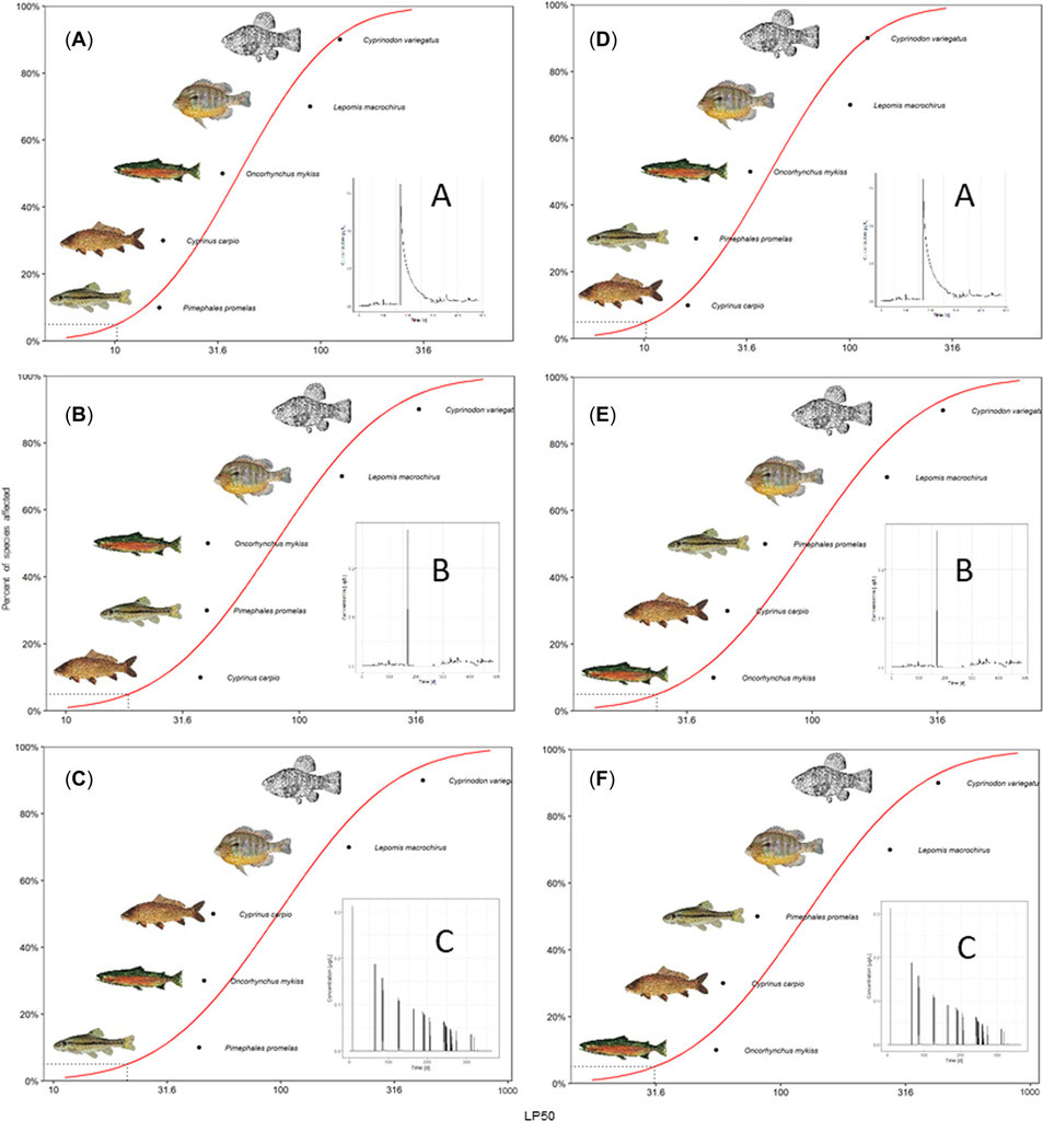 Models in ecotoxicology - Ecotoxicology and Models