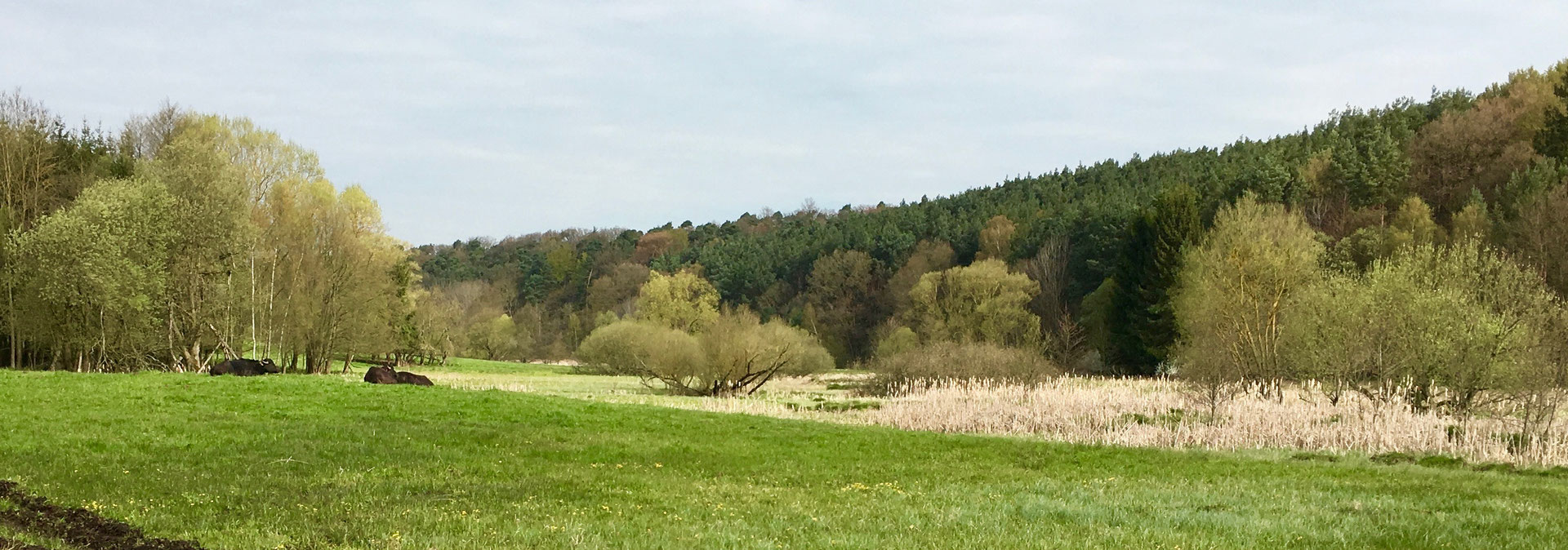 Momberg - naturportal-neustadt