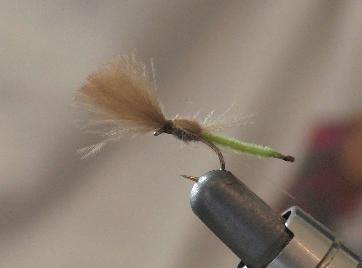 palomino fly pattern