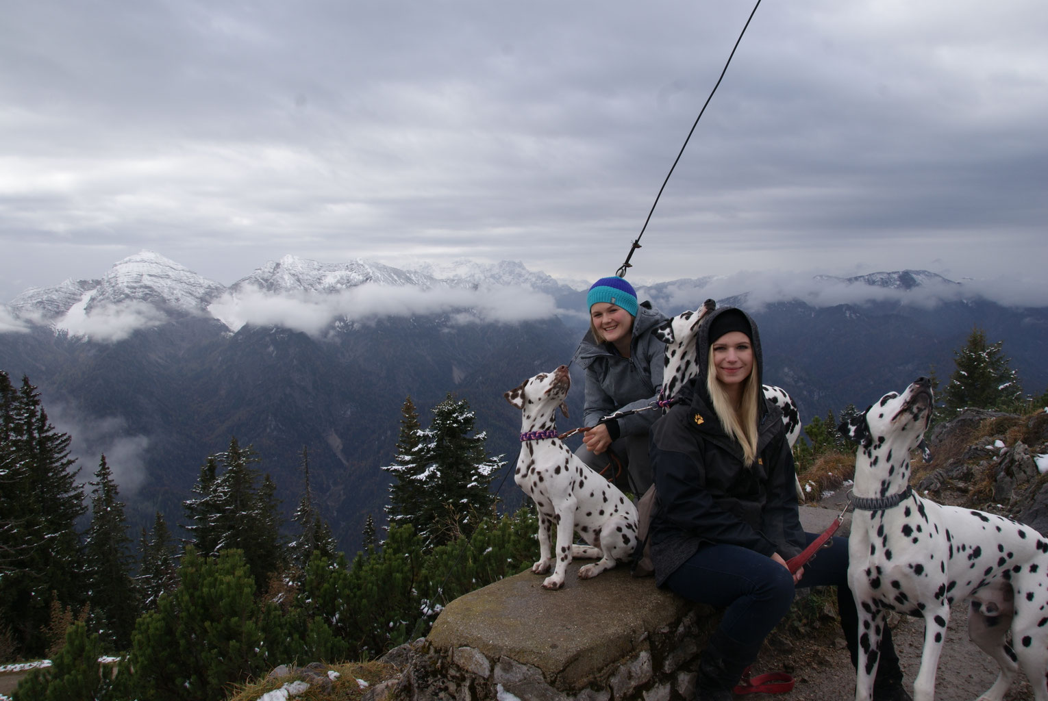 6 Monate - cora-lee-vom-gut-nordholz