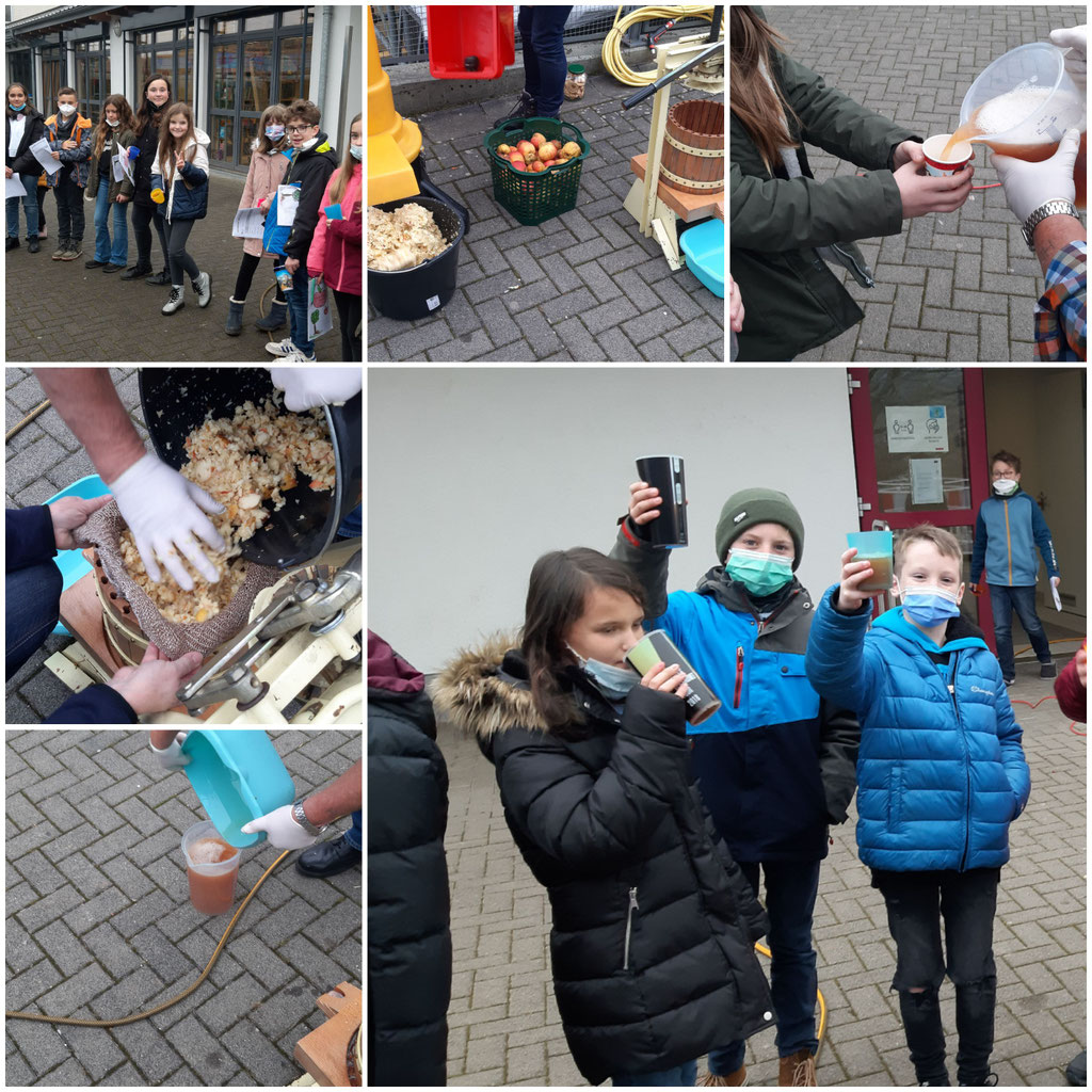 Start - Mandelbachtalschule