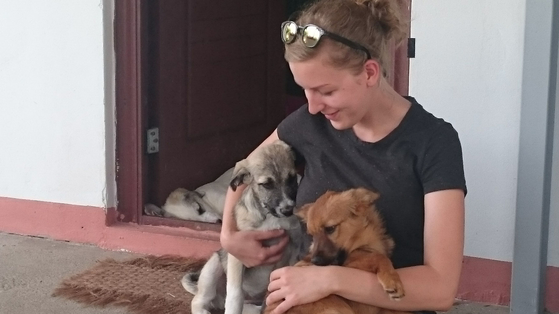 Team - Pfote sucht Glück e.V.