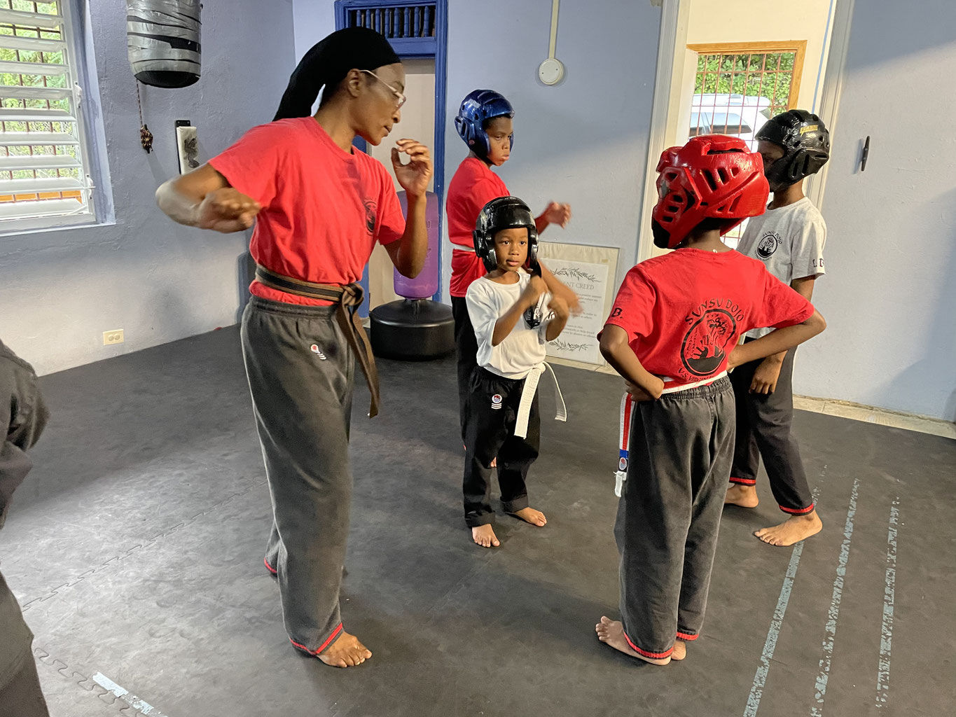 Why Sansei Isshin-ryu Karate-do - Sunsu Dojo, St Croix