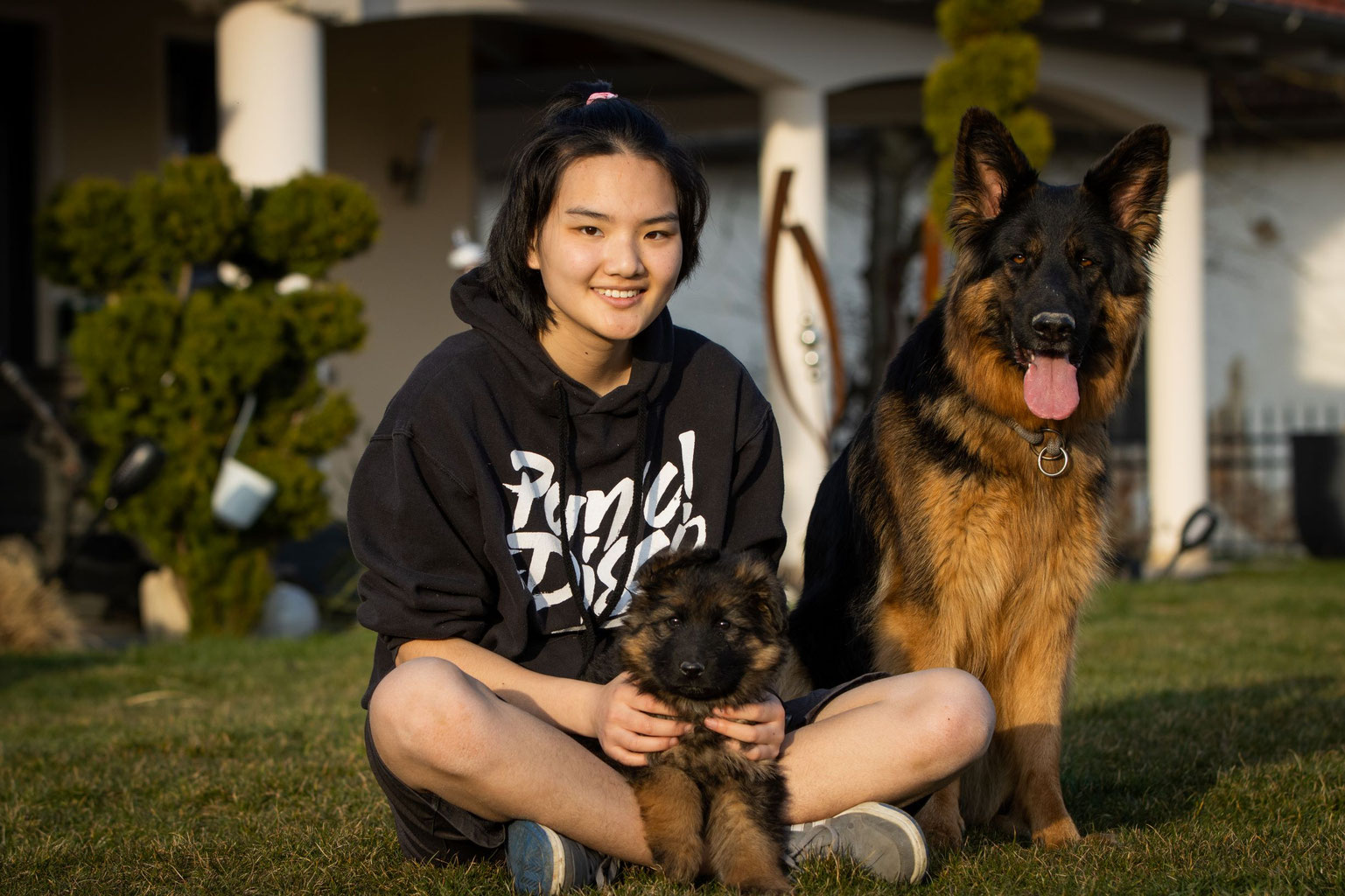 Altdeutsche Schäferhundezucht Niederbayern - house of Floofs