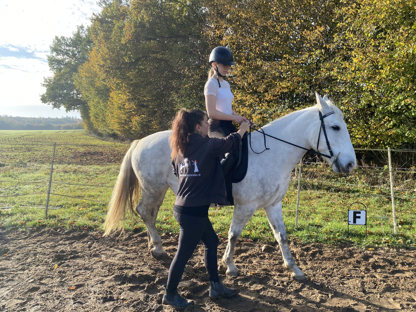 Einzelstunden - Reitschule Ponyparadies Reitunterricht