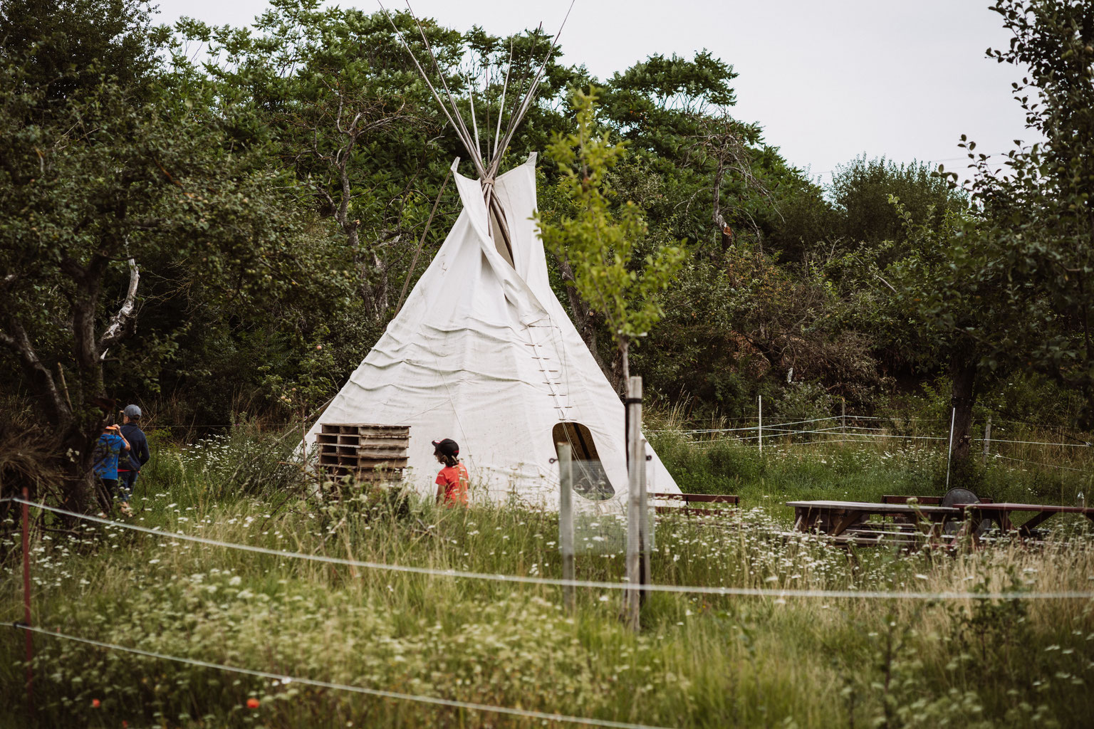 Lernort Bauernhof - Biohof Scharf Ollendorf