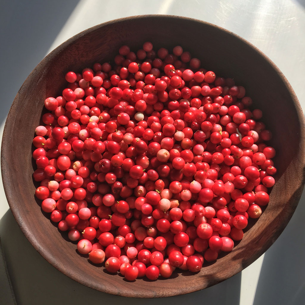 Preiselbeeren - Rezepte rund ums Kochen im Alltag