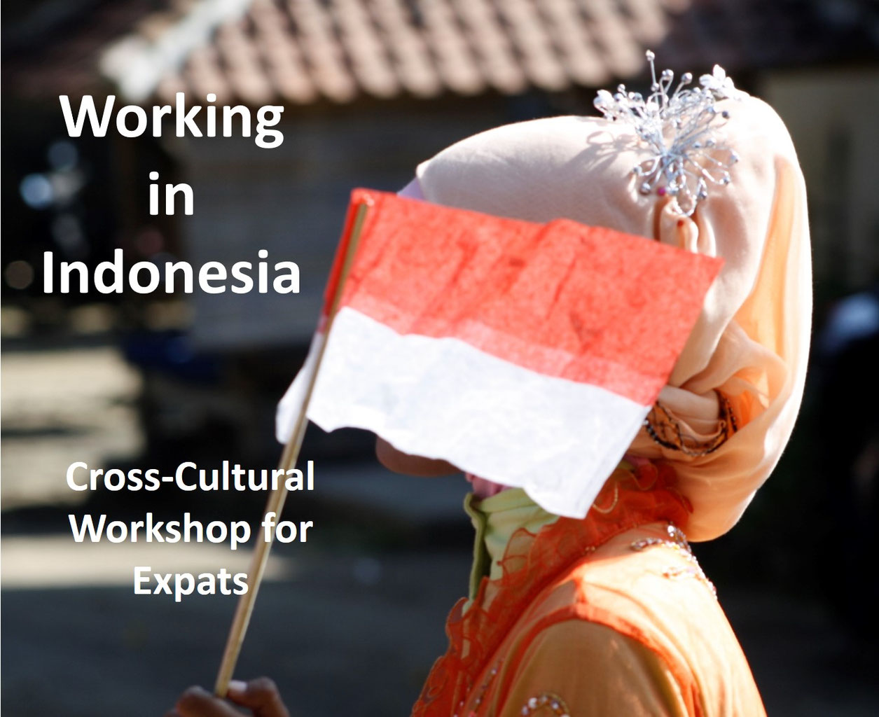 Working in Indonesia - Indoconsult - Consulting for Business in Indonesia
