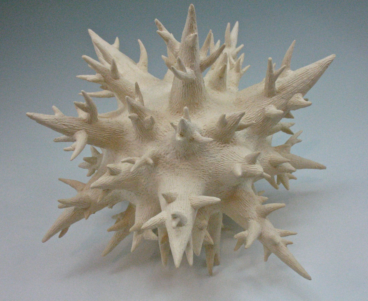 Artist Statement - Elizabeth Shriver Ceramics