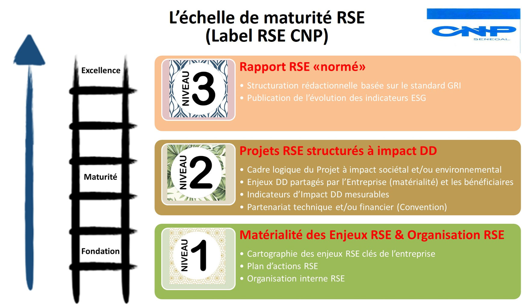 Le Label RSE CNP (2022) - Forum sur la RSE au Sénégal