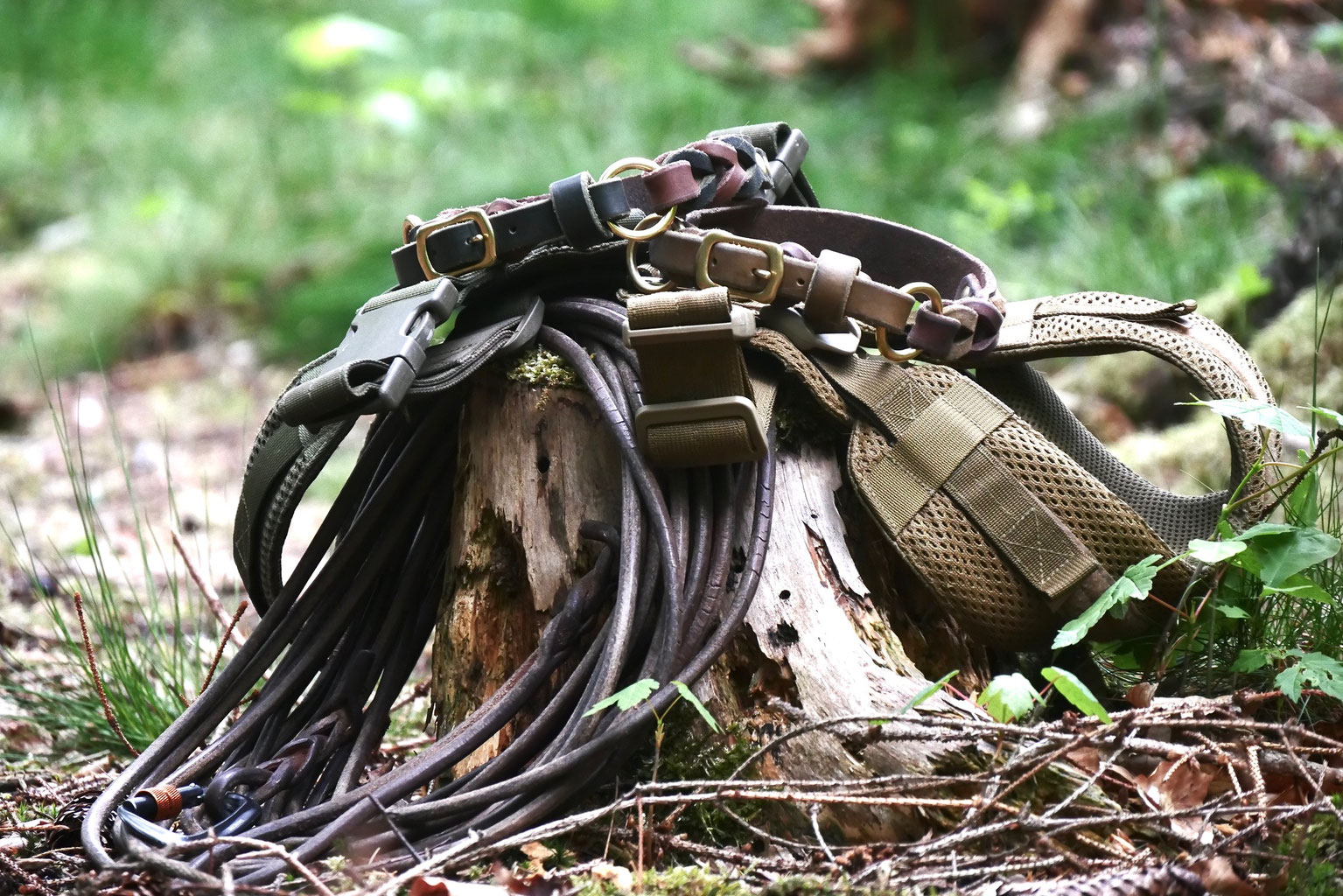 Ausrüstung - Mantrailer Rhein-Ruhr