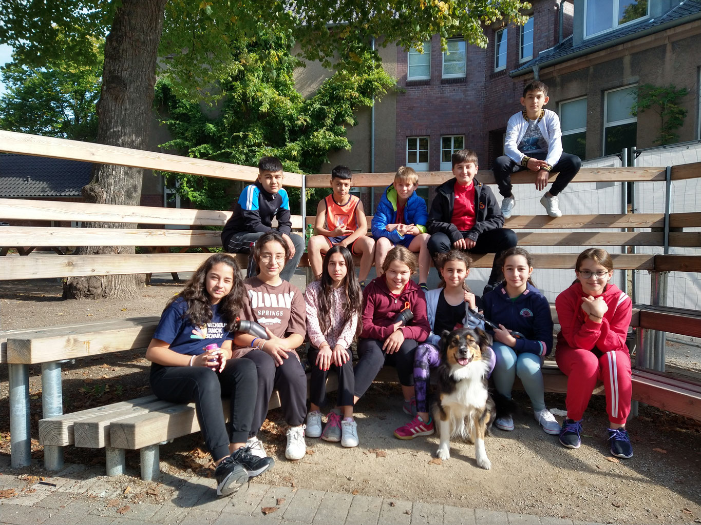 Schulhund - Die Homepage der Wilhelm-Tanck-Schule