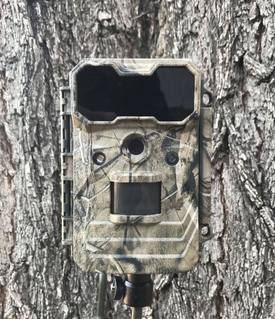 ANALISIS TRAILCAM KEEPGUARD 770 - Camaras de caza, esperas, vigilancia ...