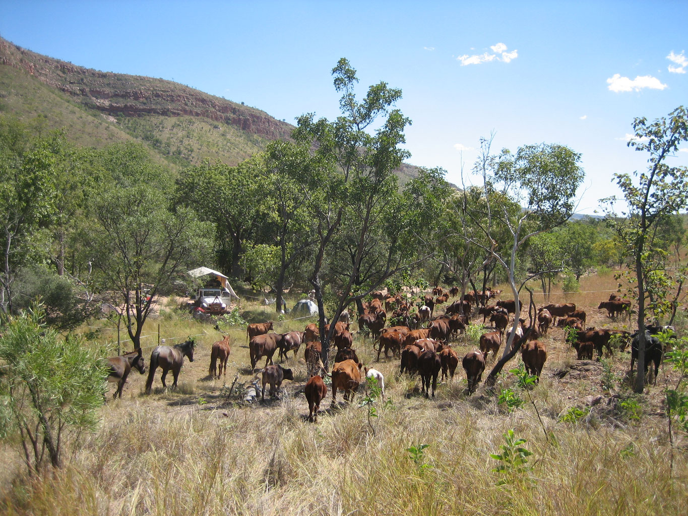 the story of kachana - Kachana Station