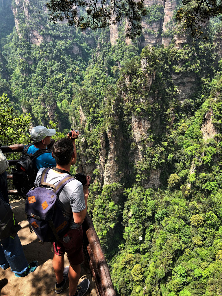 Sitemap - Senlin-Taiji