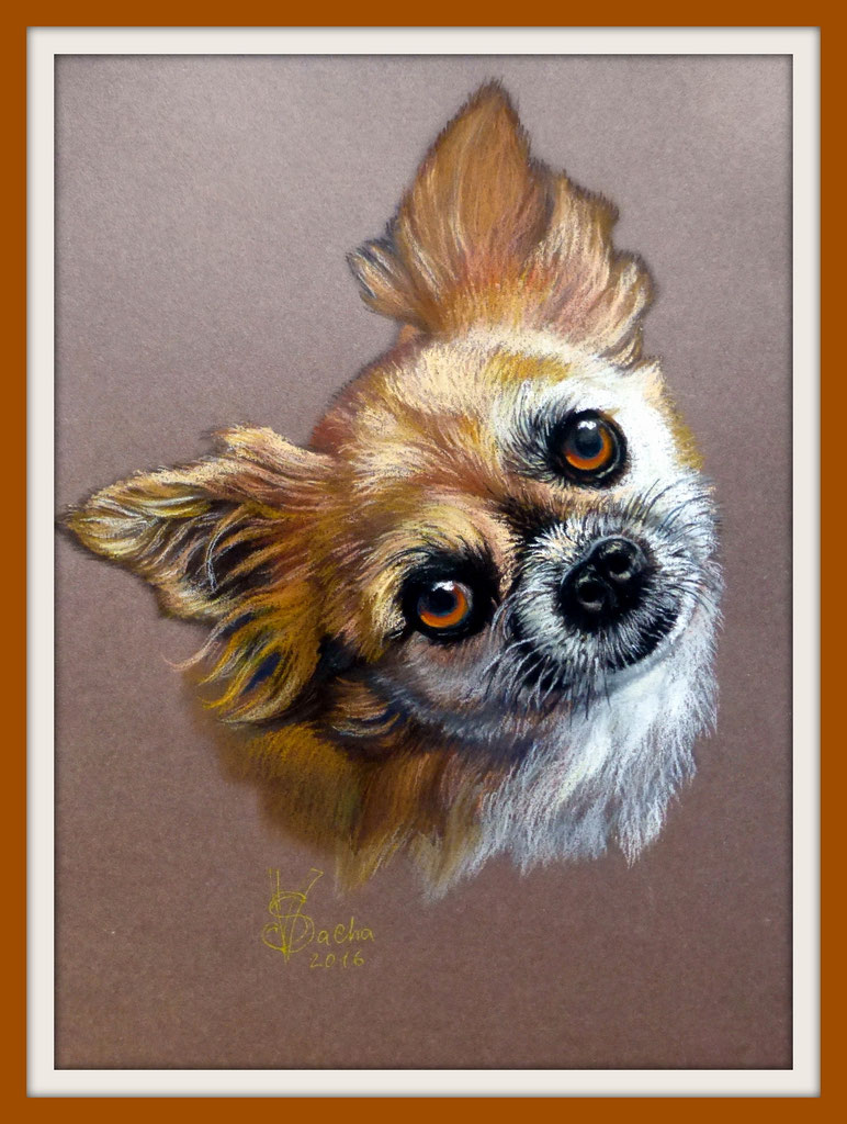 GALERIE de « PORTRAITS ANIMALIERS » - Site de voronsova-portraits