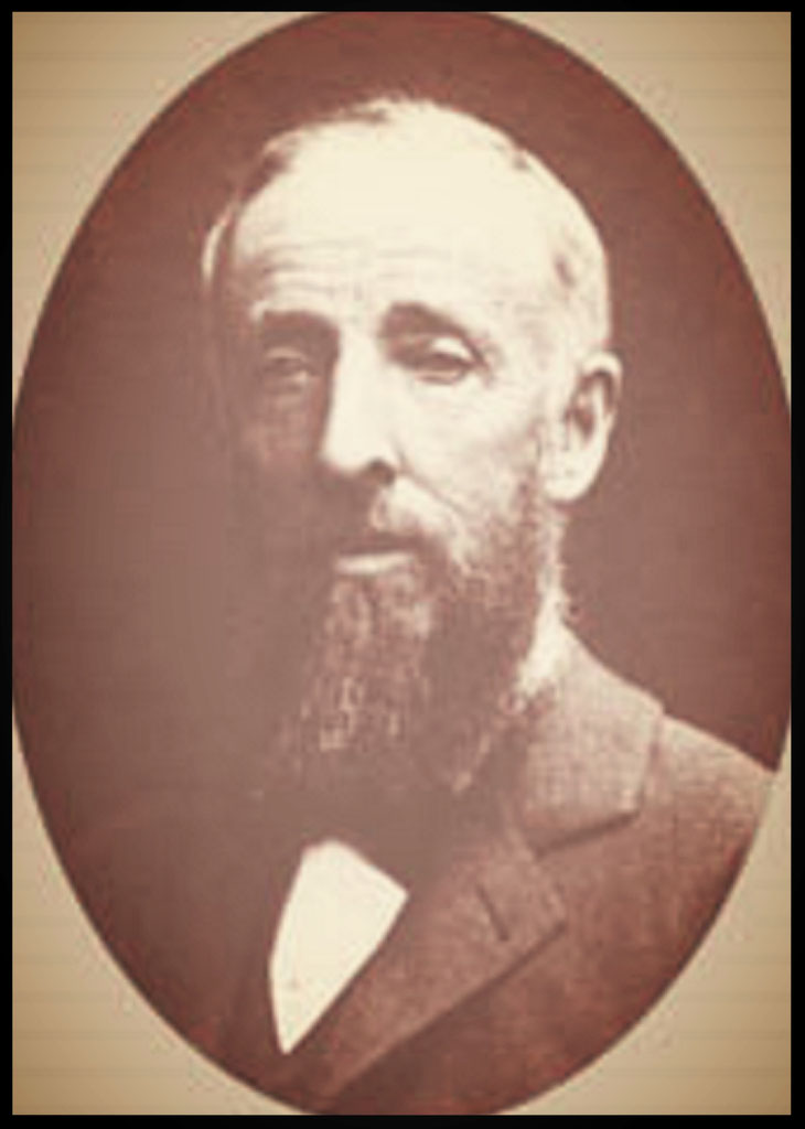 White Thomas Howard - Fiddlebase