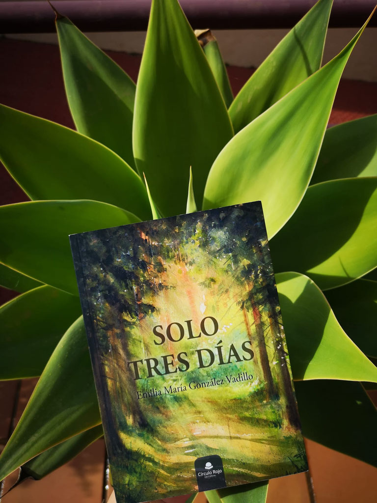 González Vadillo. Emilia - Página web de aeex